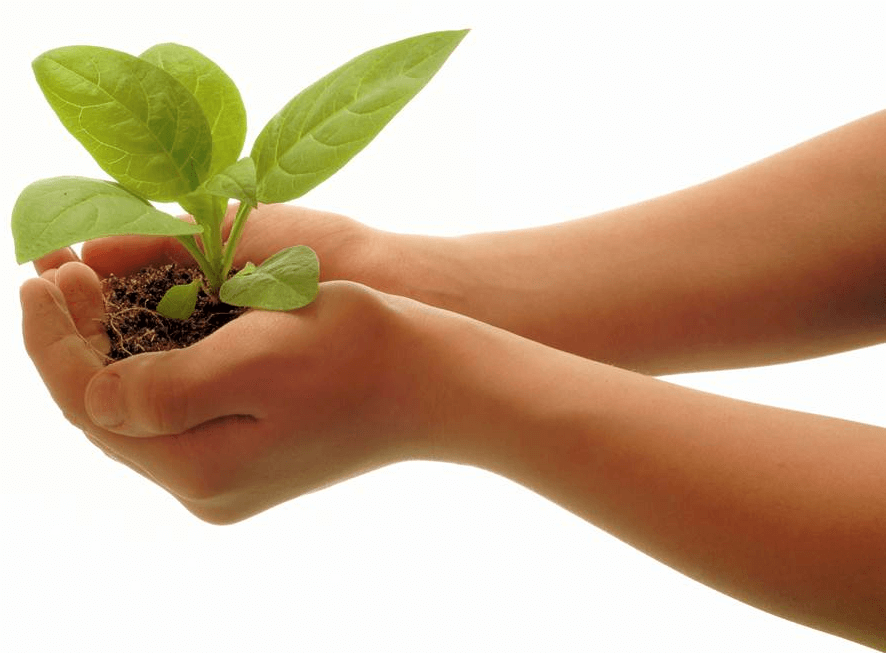 How to effectively persuade others?