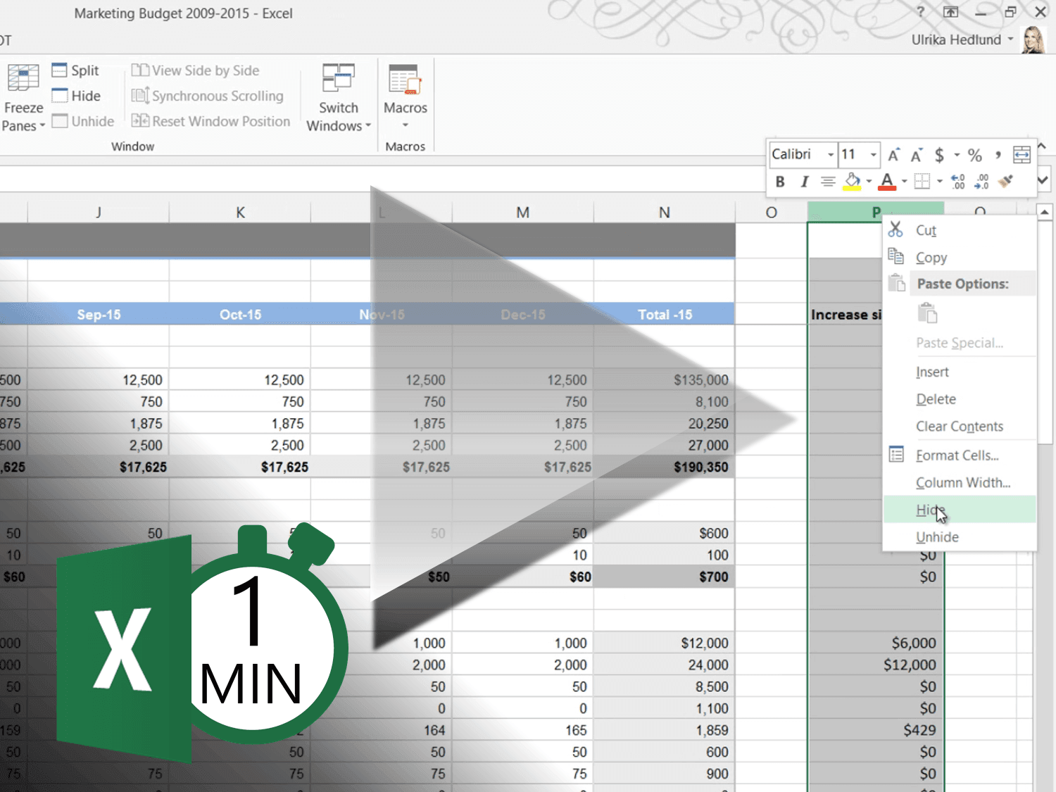 How To Add Multiple Rows In Excel 2013 Plebeauty how-to-add-multiple-rows-in-excel-2013-plebeauty